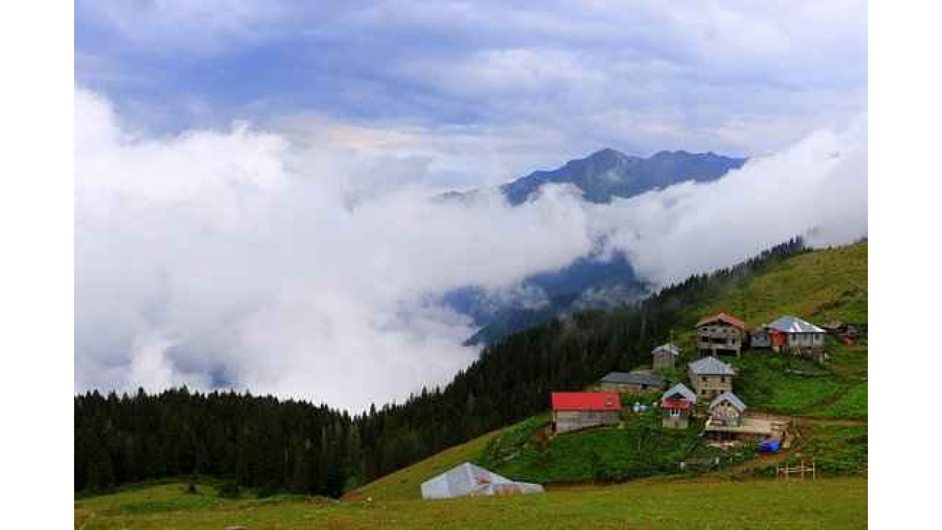 Gito ve Elevit Yaylası Turu | Rize Günübirlik Doğa Turu – Ayala Tour